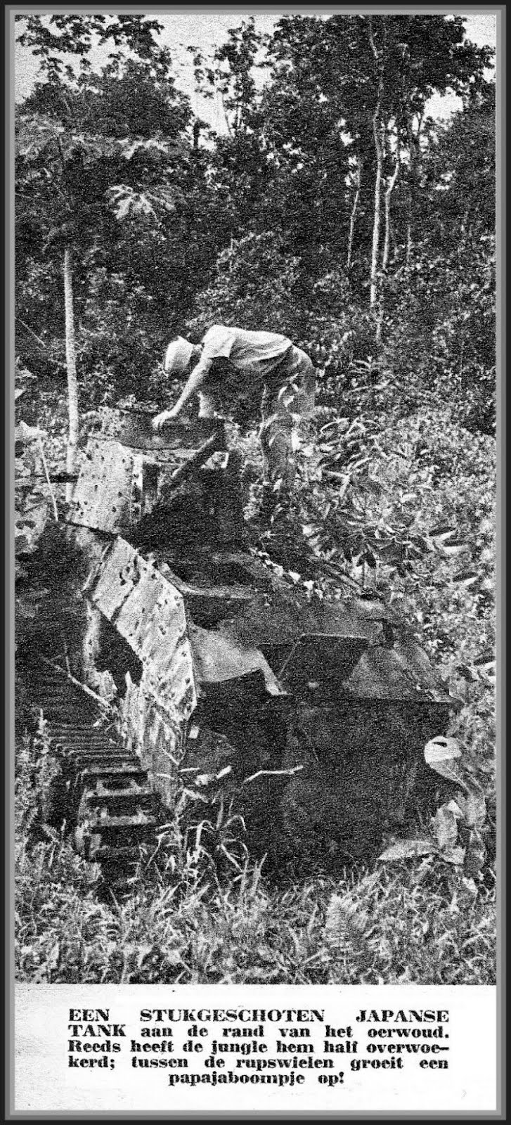 coconut connections: The remnants of War on Biak Island Papua.