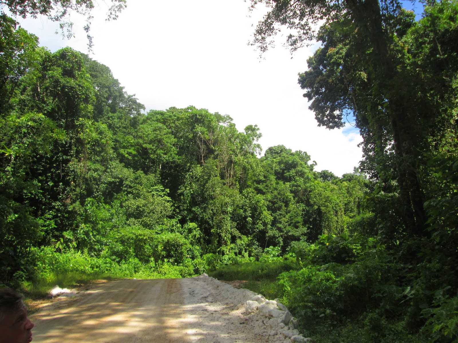 Worldbirder: The WPO: Rennell Island.
