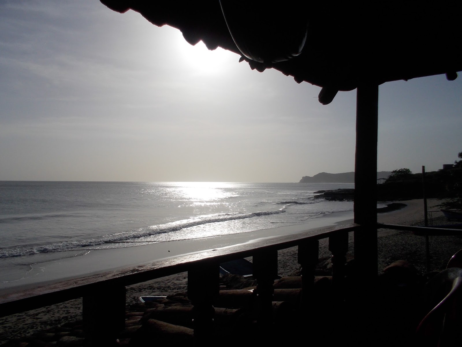 COQUÍN DE LOS BOSQUES EN CENTRO AMÉRICA: PLAYA GIGANTE, PLAYA AMARILLO ...