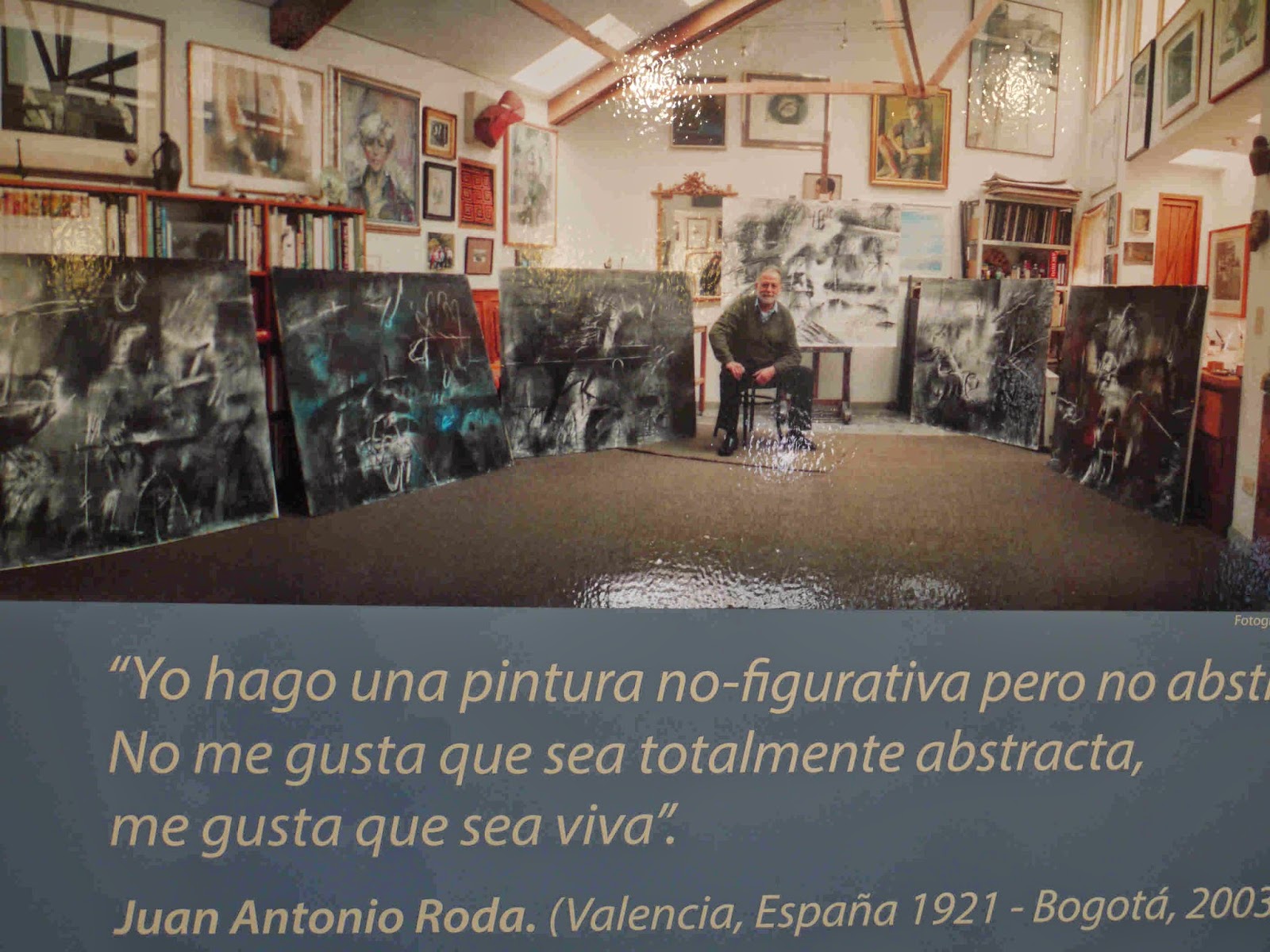 Mike's Bogota Blog: Juan Antonio Roda in the Museo Nacional
