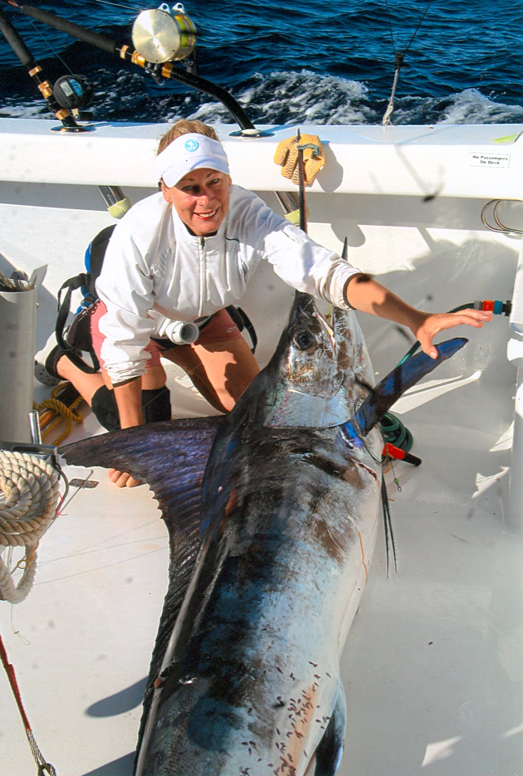 Big Fishes of the World: MARLIN STRIPED (Tetrapturus audax)