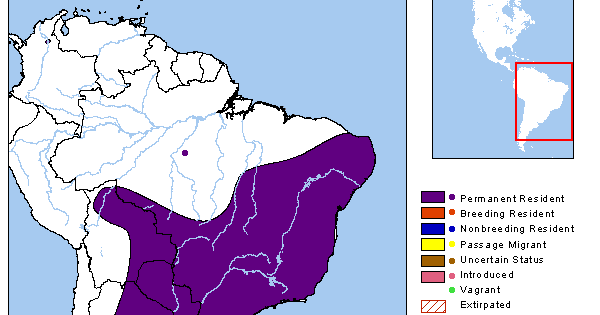 Ñandú y Anacardiceae Apocince: ¿En que habitad viven los ñandúes?