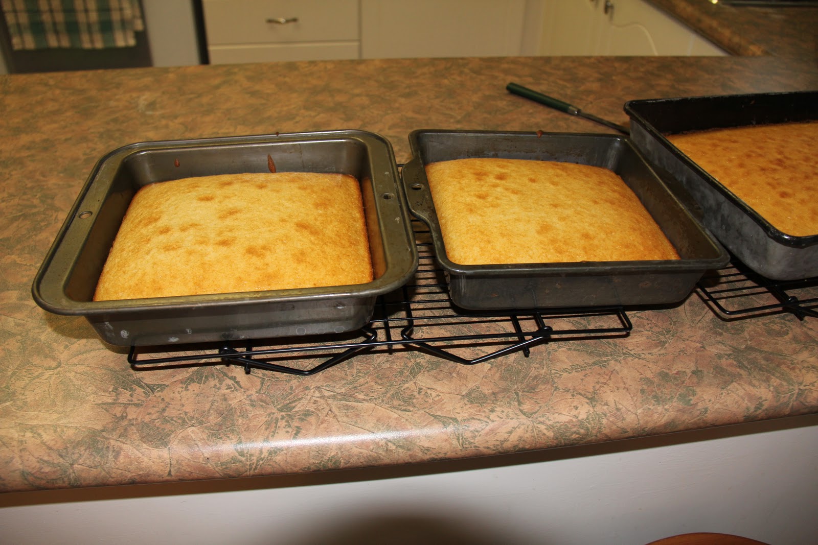 Hawadäre!: 101 Crafts to Make #67 - Cake Decorated With Regular Icing ...