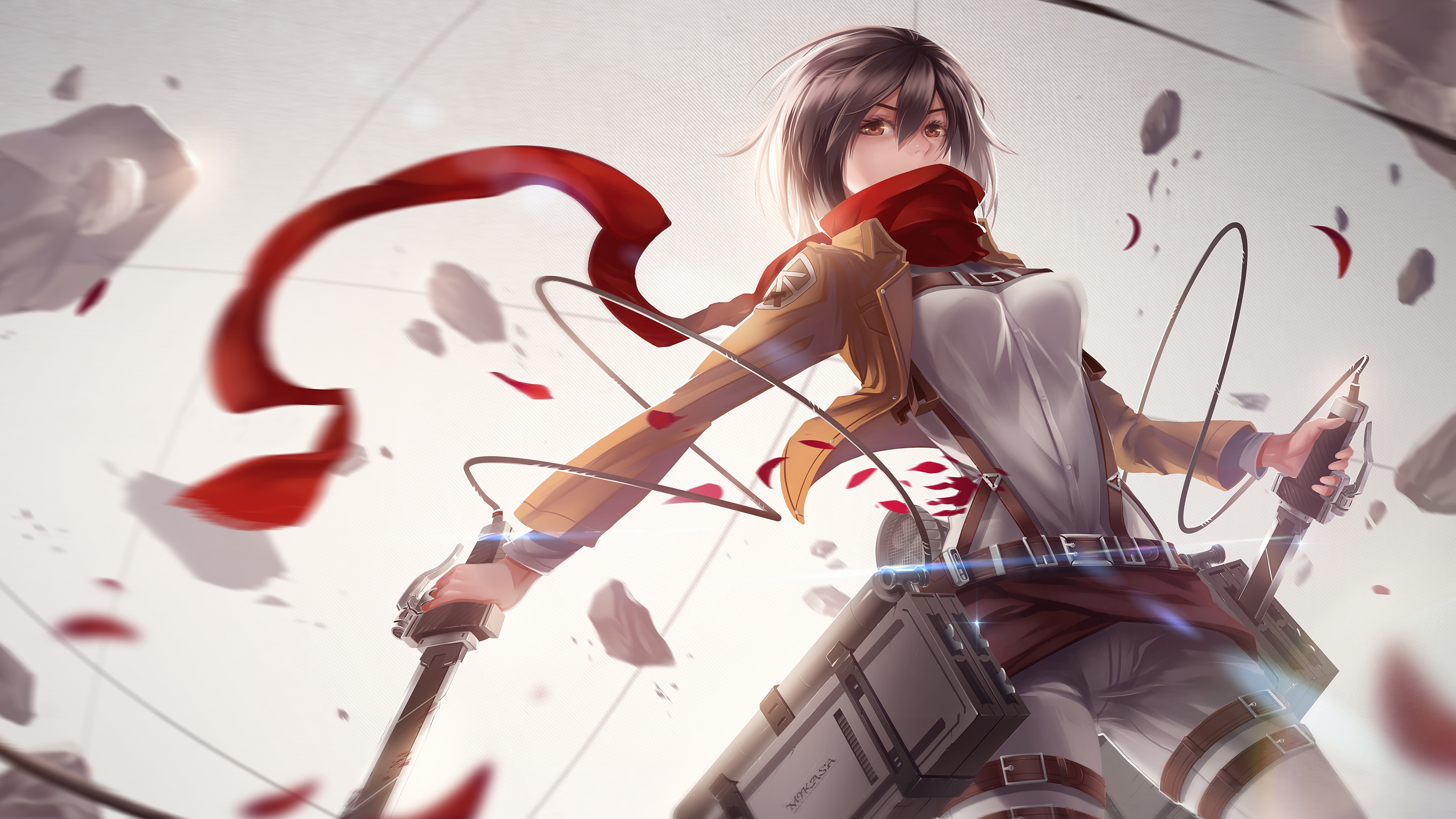 Mikasa Attack On Titan