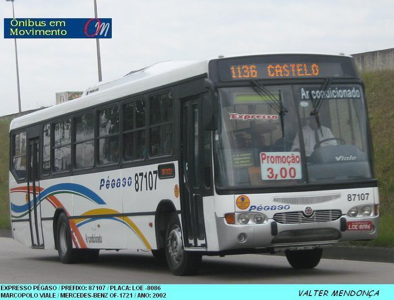 Bus Elite | Aqui o ônibus é destaque: Linha 2336 Campo Grande - Castelo ...