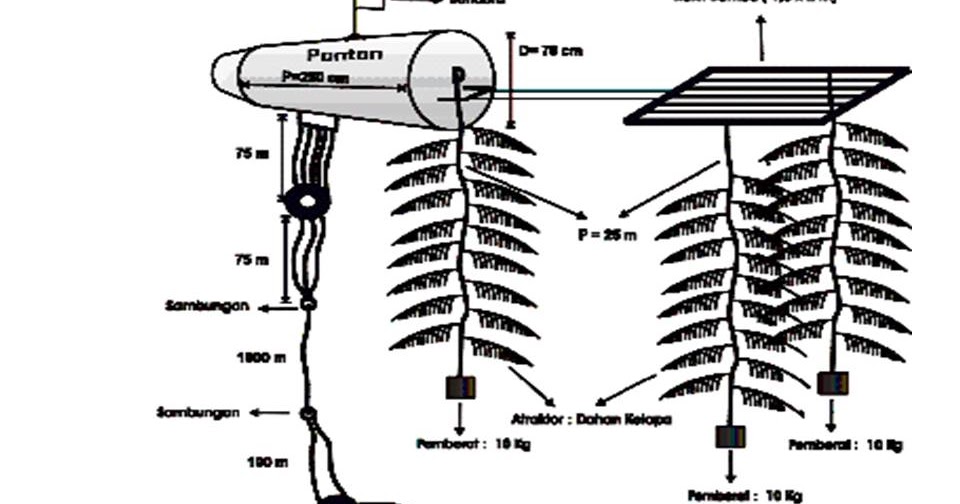 CARA MEMBUAT RUMPON SEDERHANA