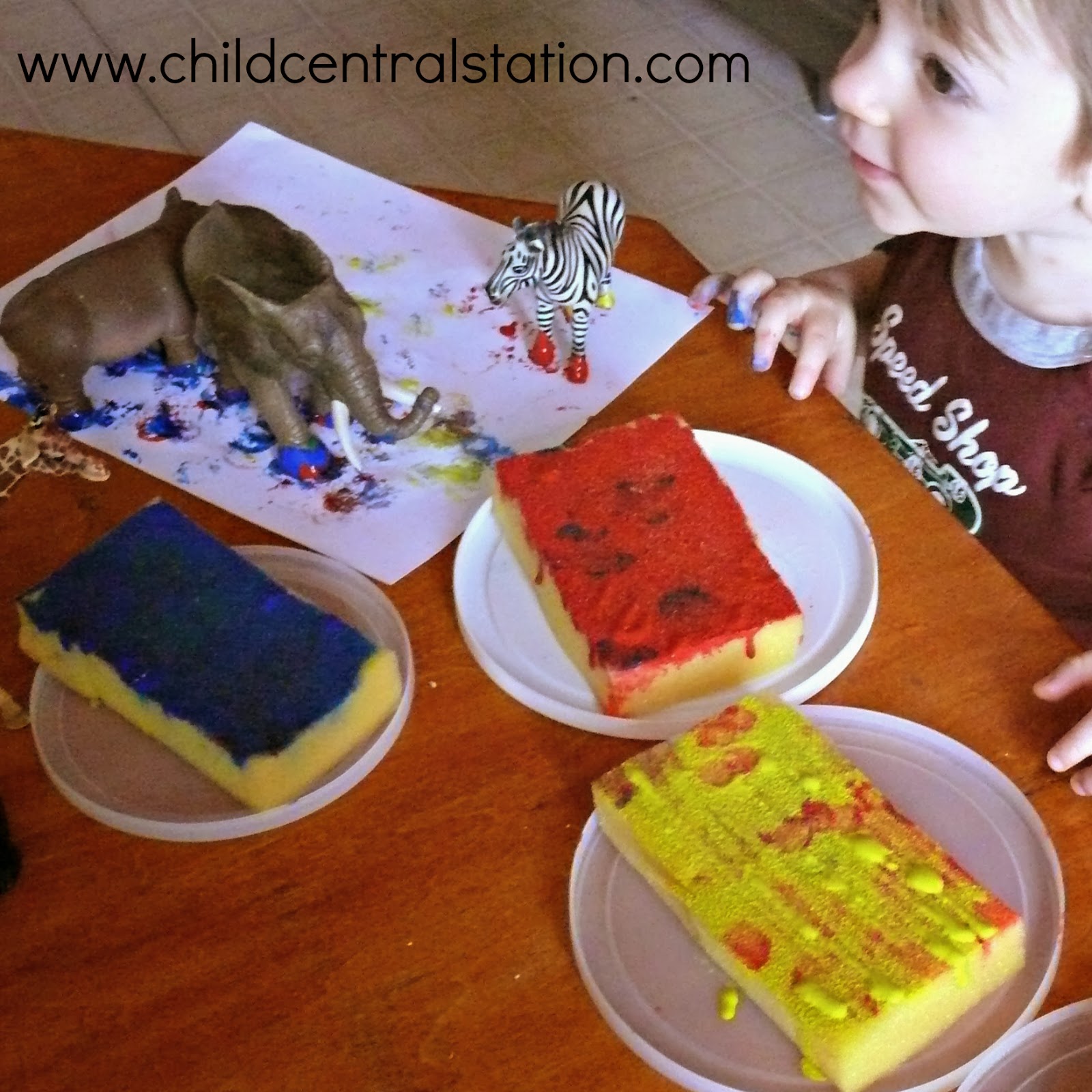 Making Animal Tracks