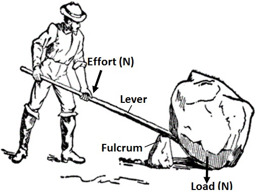 Wonders of Science: CHAPTER 10: SIMPLE MACHINE