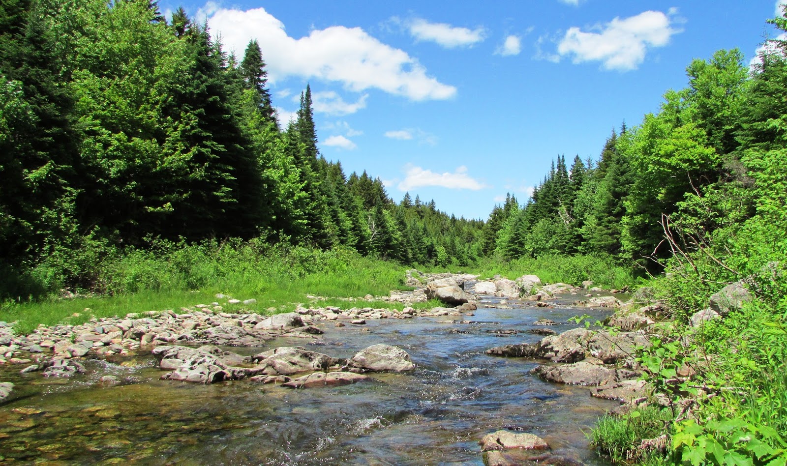 New Brunswick's Covered Bridges: Forty Five River No.1