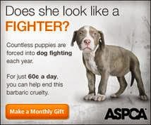 Alyssa's AP English Blog: Tow #6: ASPCA Advertisement