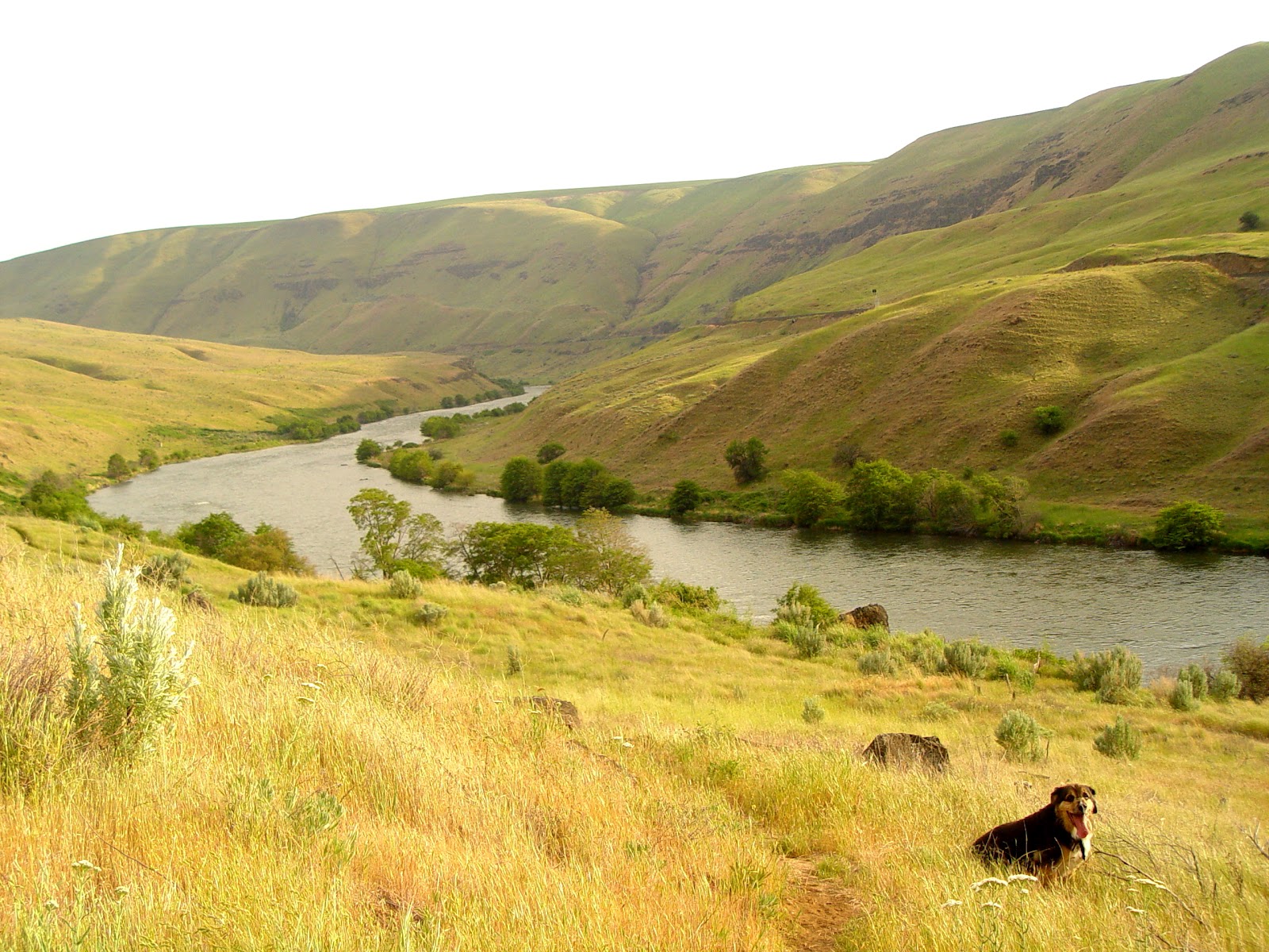 Apache Summer 2012: Our Inaugural Apache Trip...Part I