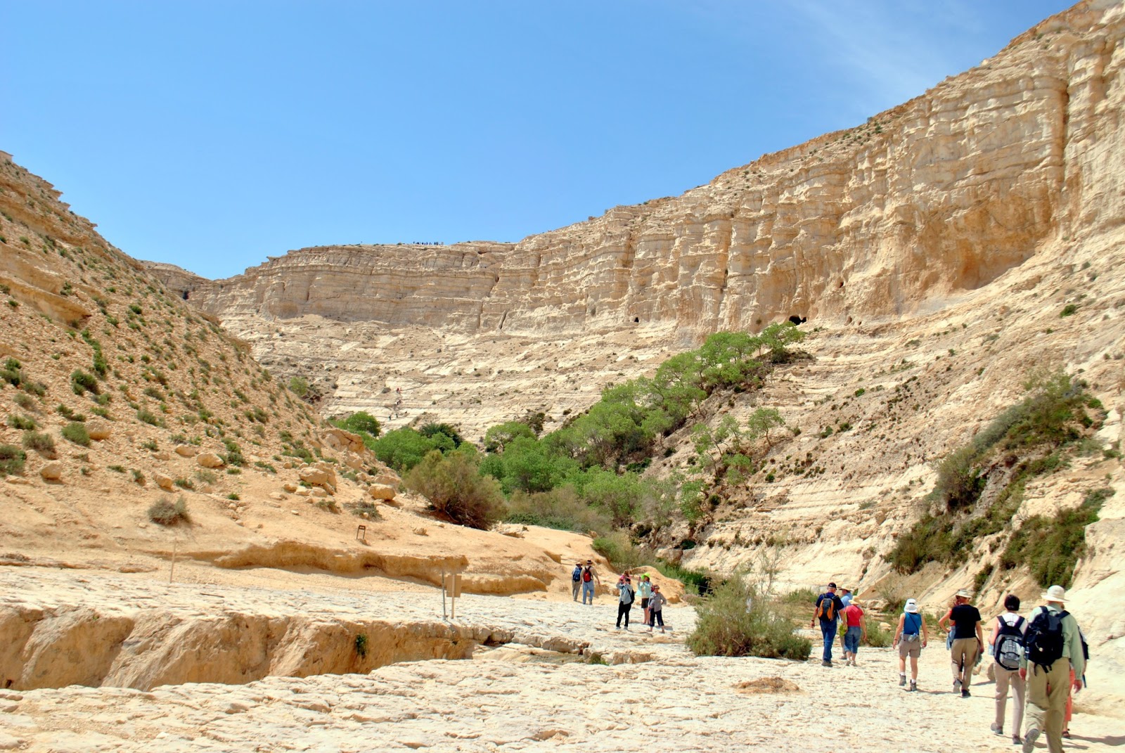 the Grabers: Wilderness of Zin