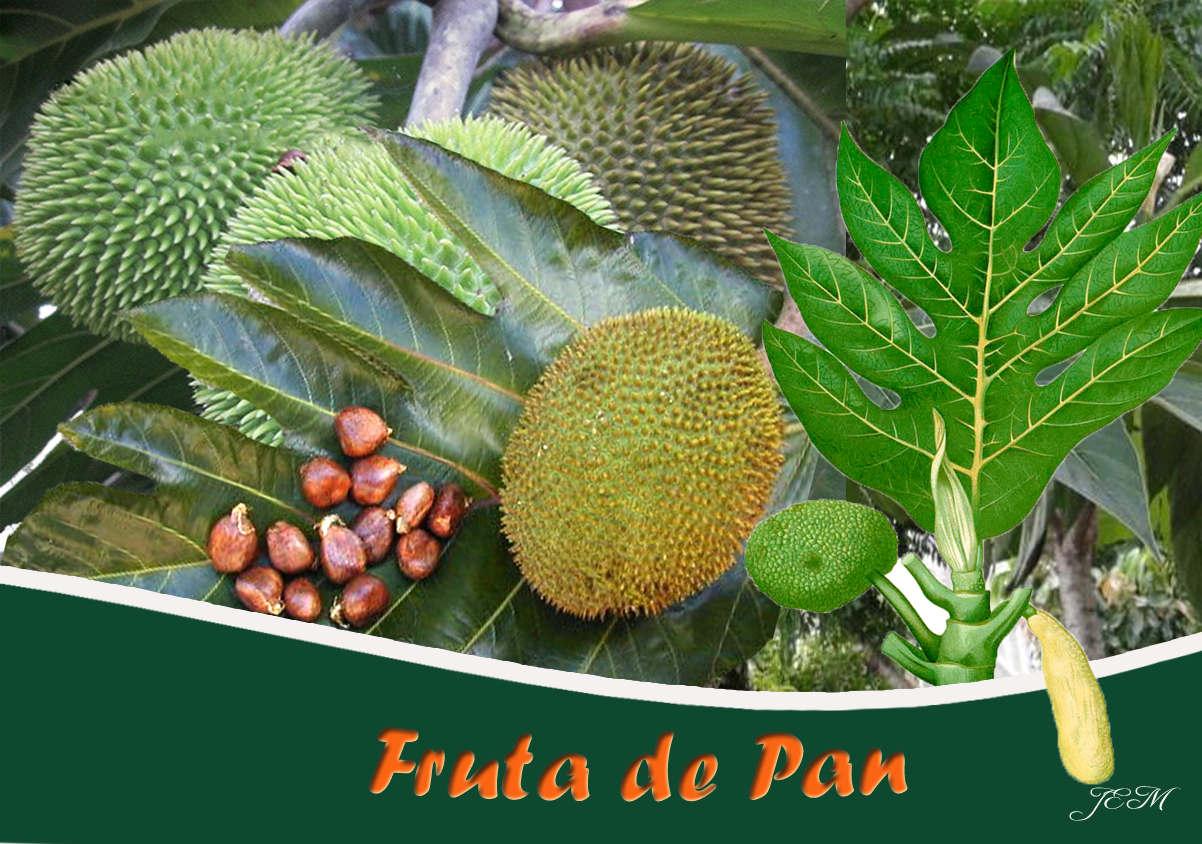 Frutas y Vegetales Exóticos