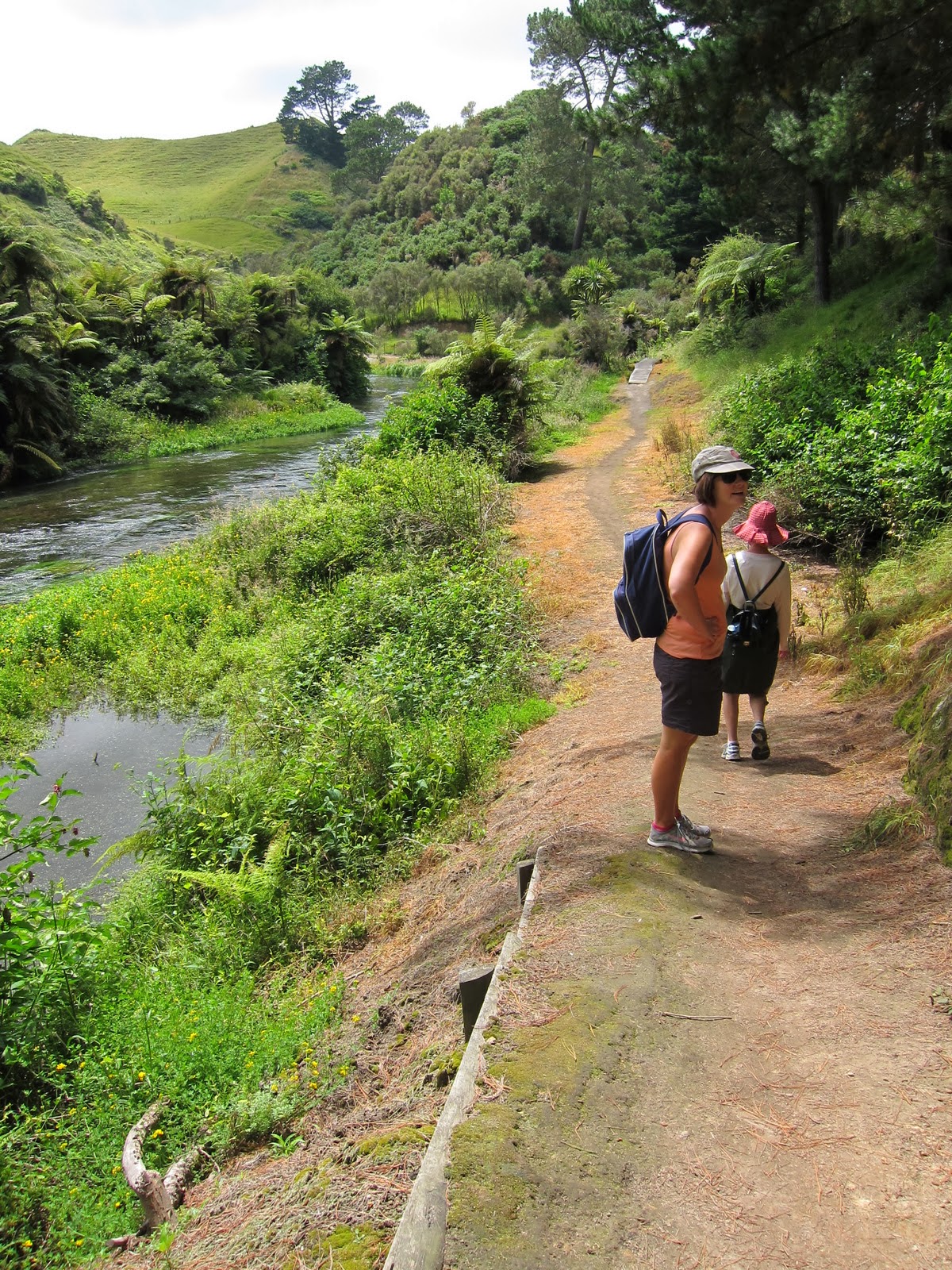 Walk to the Blue Spring: one of NZ's best kept secrets | the adventures ...
