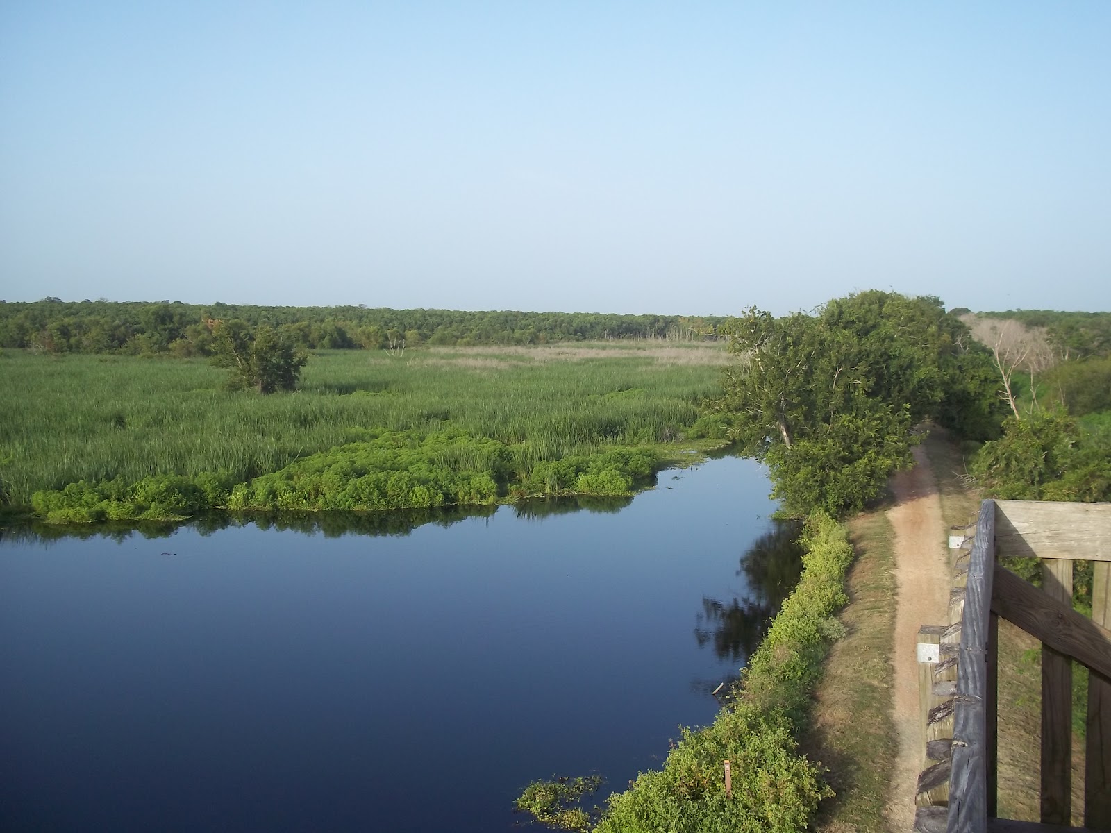 Happy Campers: Brazos Bend State Park