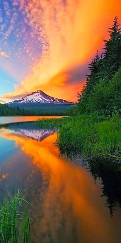 Awesome views ~ Amazing Photography