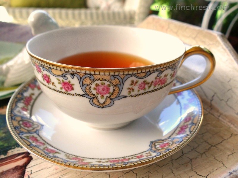 The Nest at Finch Rest: Tea with Snacks Outdoors