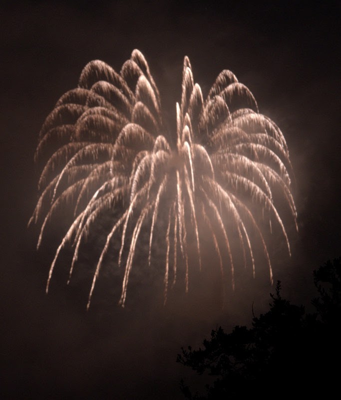 Catalott On The Road: More Fireworks in the Fog - Cambria California