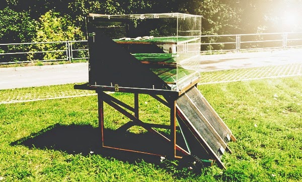 DIY solar food dehydrator | ThriveLiving