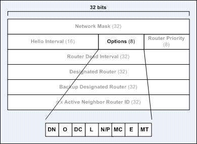 show ip ospf neighbor command output explaination