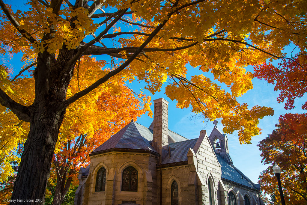 Corey Templeton Photography: Evergreen in the Autumn