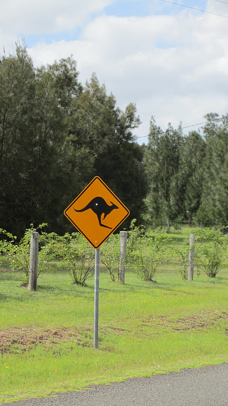 Tokyo Blond: Hunting for Roos and Wine