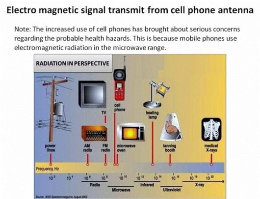 Important Awareness on GSM Phones - Effects of using Mobile Phones too ...