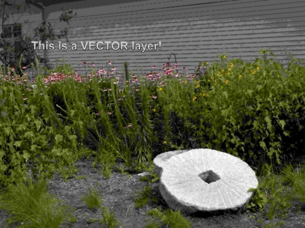 Glen Barrington - My Dynamic Range: The Difference between Raster and ...