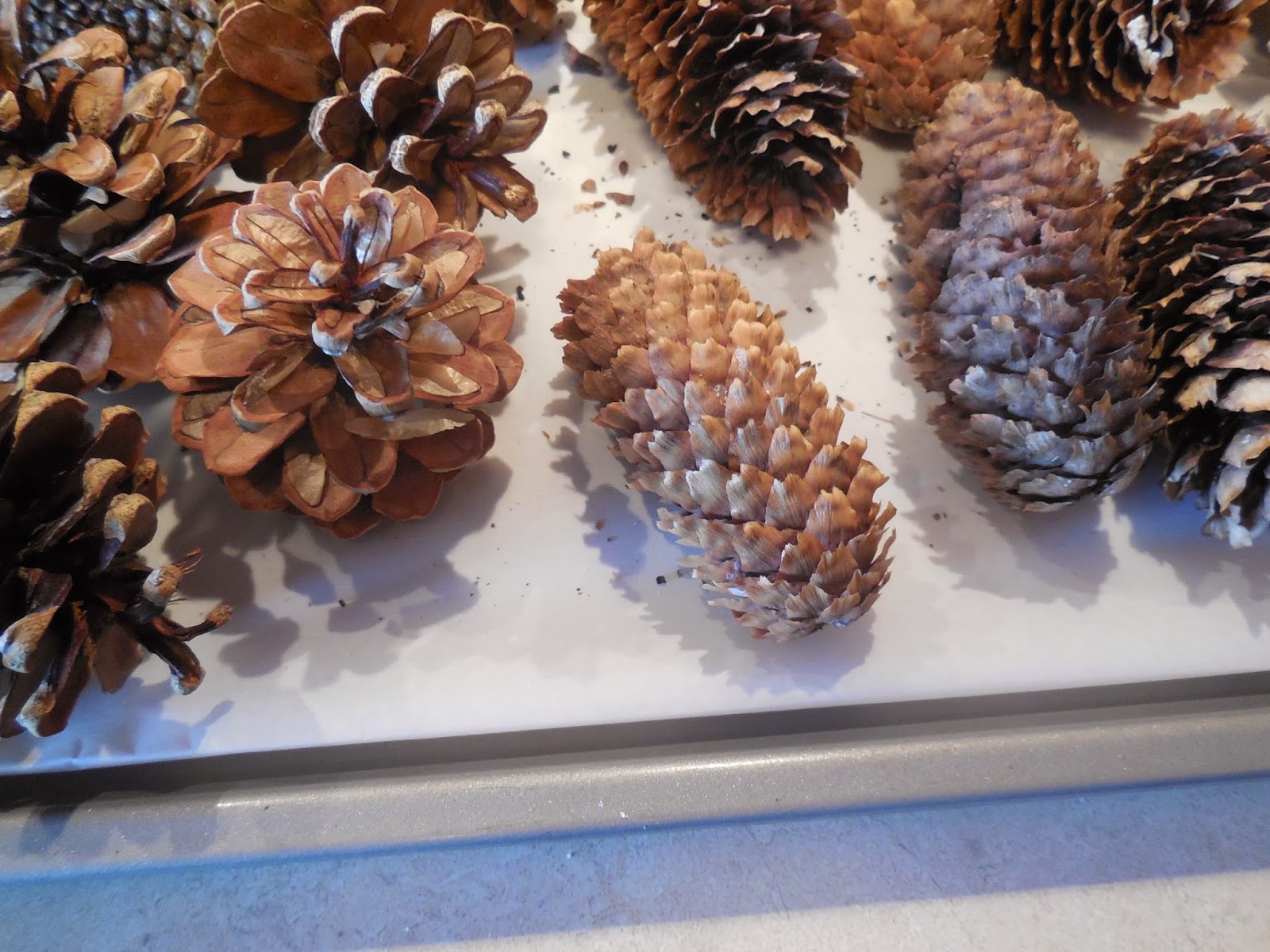 Backyard Patch Herbal Blog: Advent How to - Scented Pine Cones