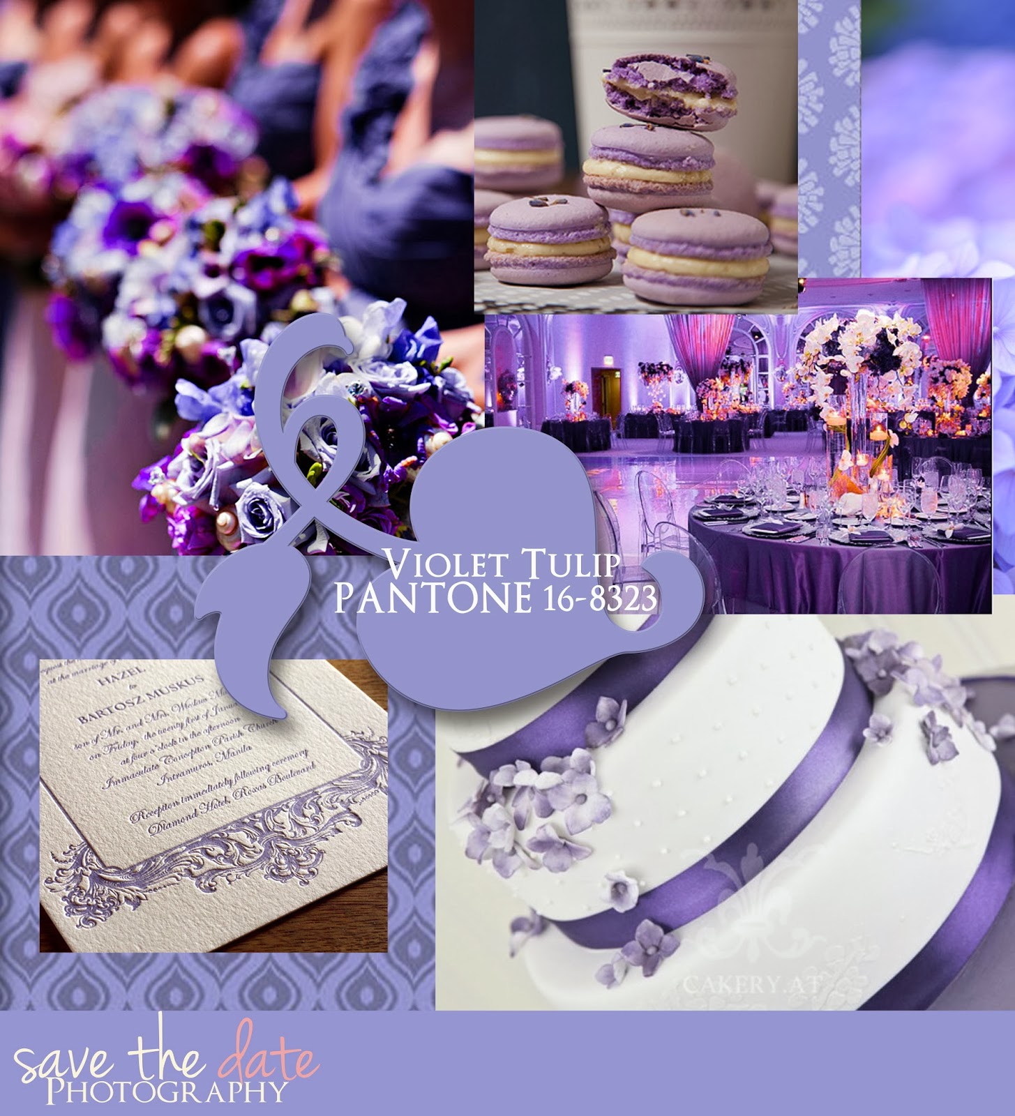 Save the Date Photography: Violet Tulip