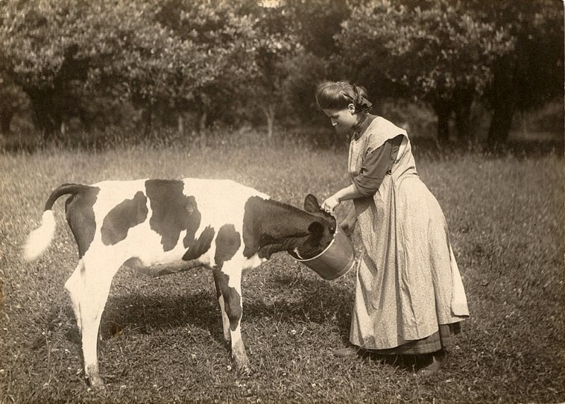 37 Lovely Photos That Show Farm Ladies Over 100 Years Ago | Vintage ...