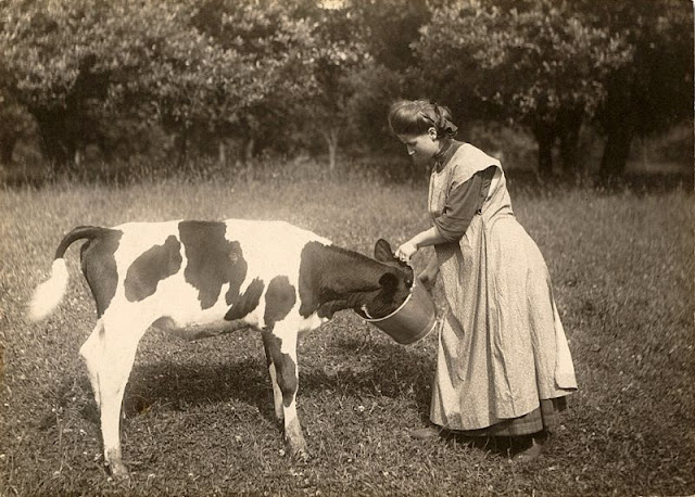 37 Lovely Photos That Show Farm Ladies Over 100 Years Ago ~ Vintage ...