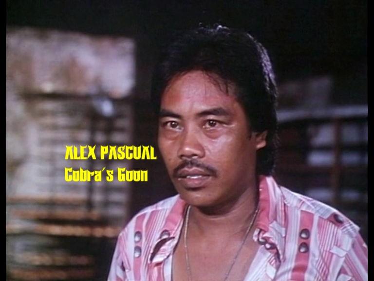 Name That Filipino Actor!: Alex Pascual