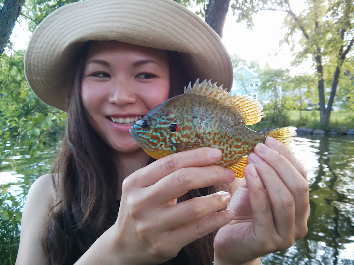 Ben Cantrell's fish species blog: July 4th Madison Species Competition