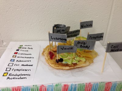 Talking Taylor Schools: Hoover seventh-graders study cell life