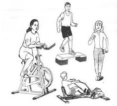 Kesegaran Jasmani > Pengertian, Fungsi, Komponen, Alat Ukur | Silabus ...