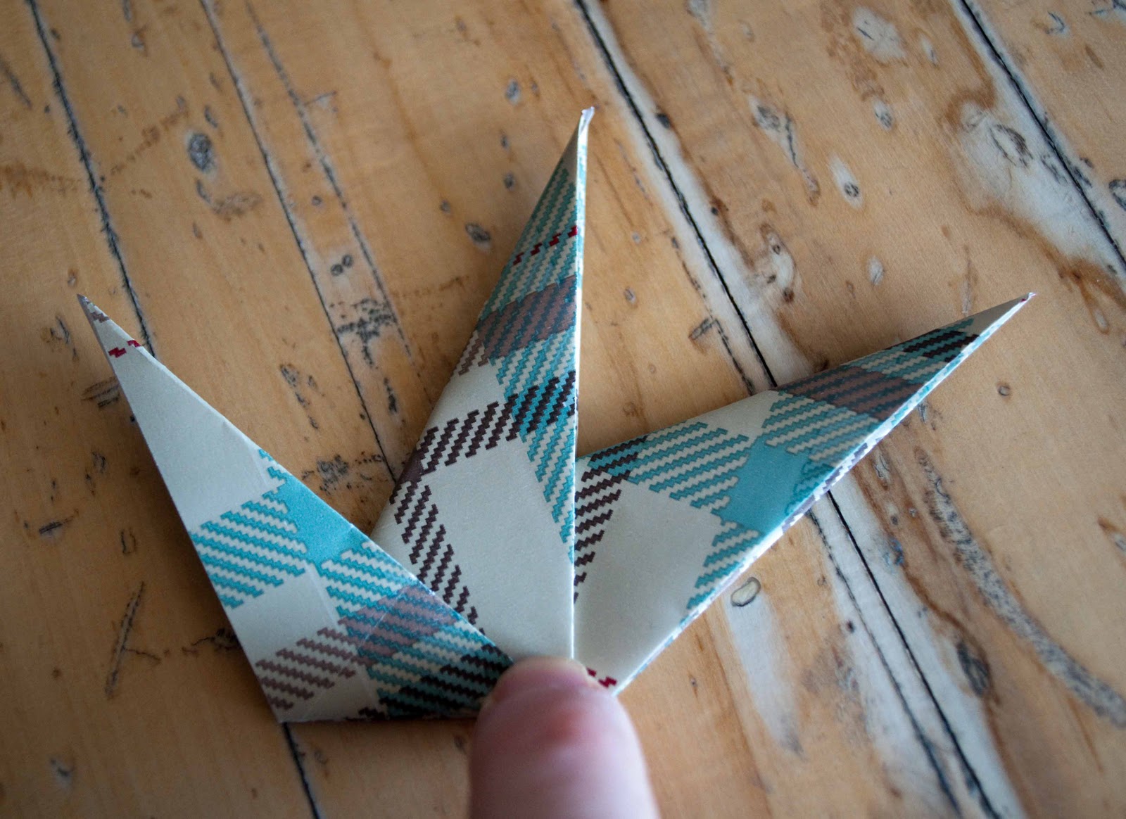 Paisley Sprouts: paper star tutorial