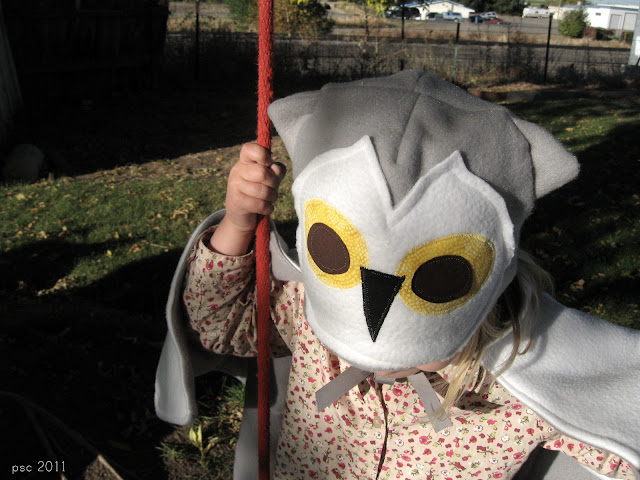 Pickup Some Creativity: Hedwig Costume