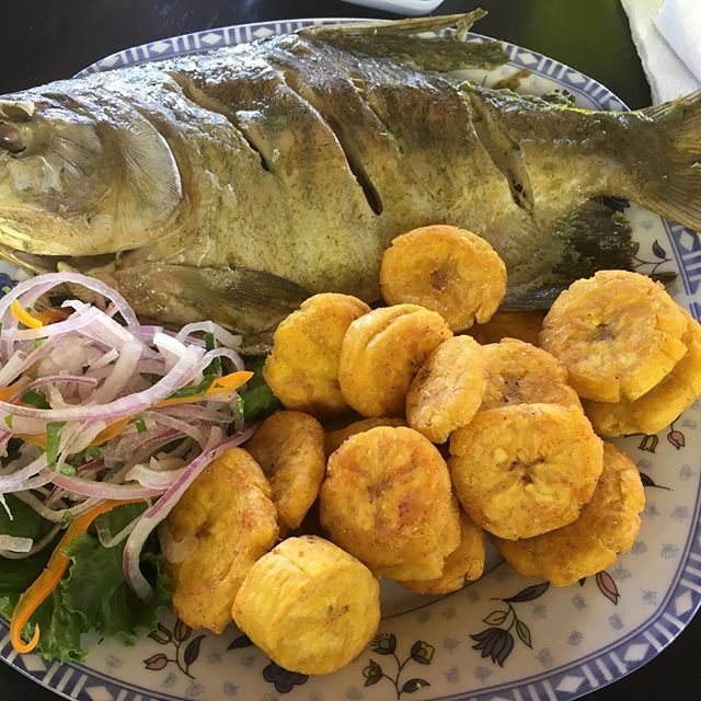 El Paco y la Gamitana: "Peces Amazónicos para el Mundo" - Made In Tingo ...