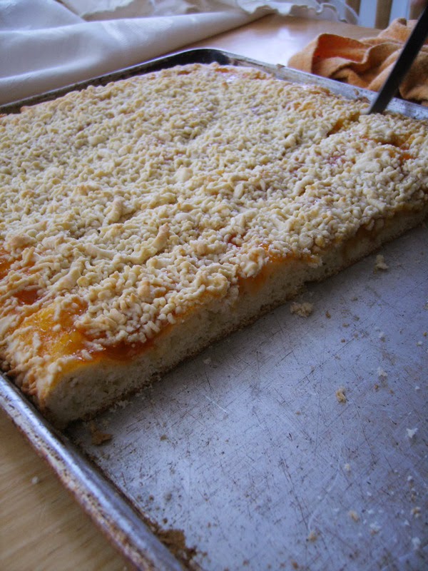 Halwet el Ma'joon (Apricot Preserves Tart) - Confessions of a ...