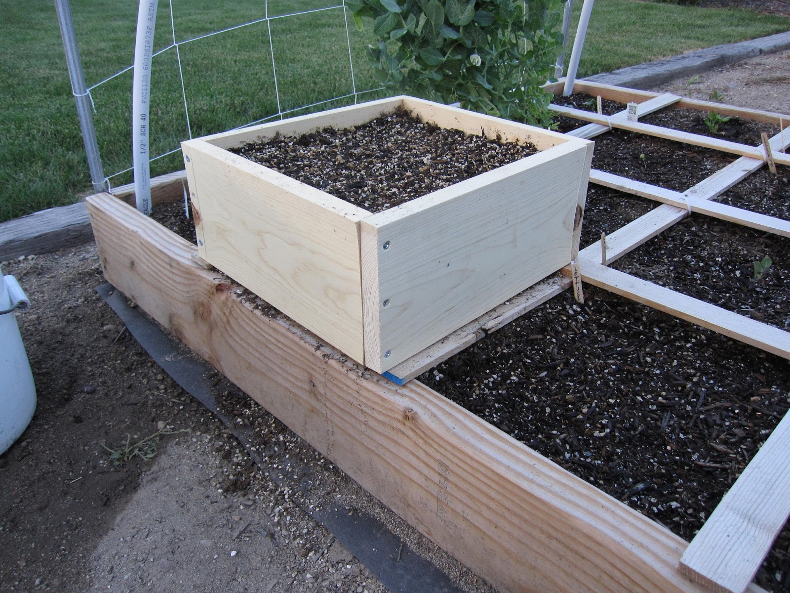 In My League: The Double-decker Square Foot Garden Box