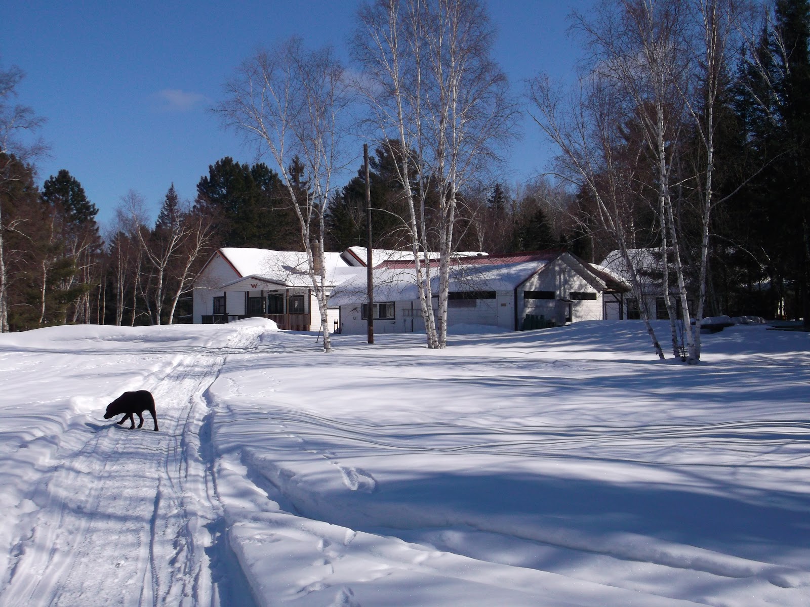The Wabun Times: Winter Times in Temagami