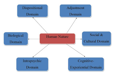 Thinker's Dilemma: Personality: Domains of Knowledge