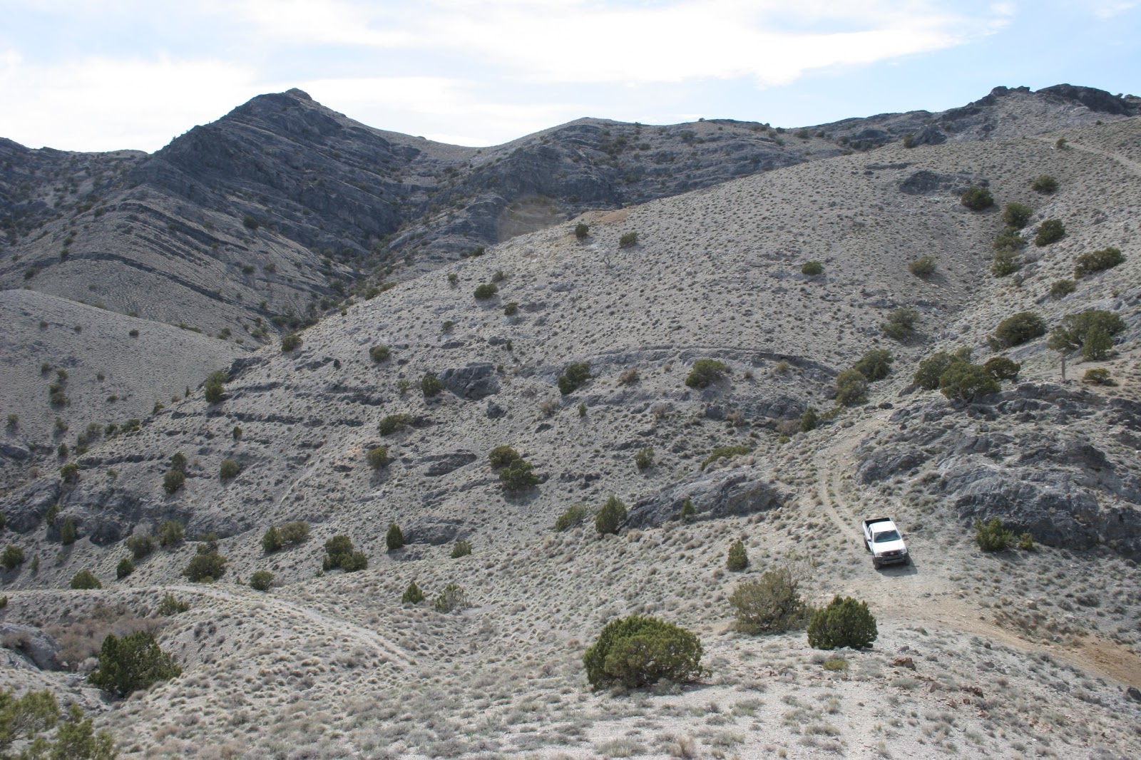 Great Basin Ute: Newfoundland Mountains, NW Utah