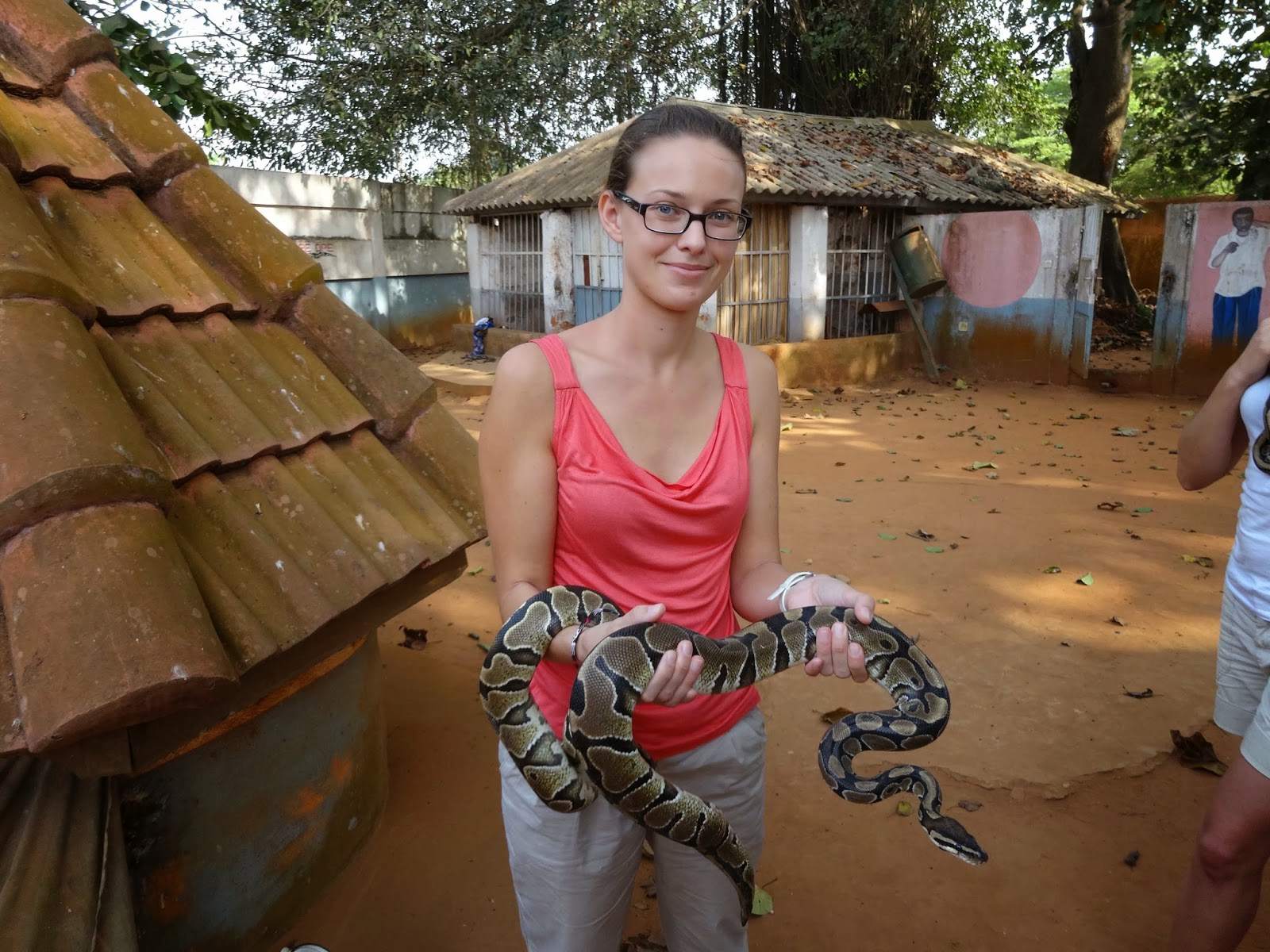 Temple des pythons : Tete à Cotonou