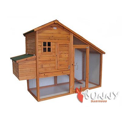 Lop Eared Bunnies - Surrey: Bunny Houses
