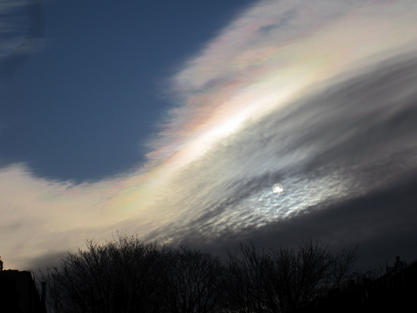 brooklynometry: full sun