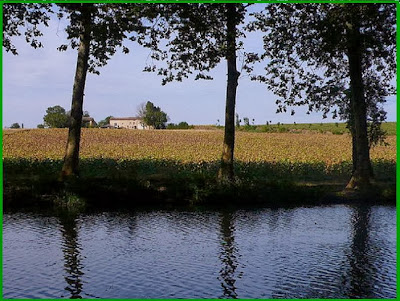 Briç Oyunu: Mike Cappelletti Kuralları