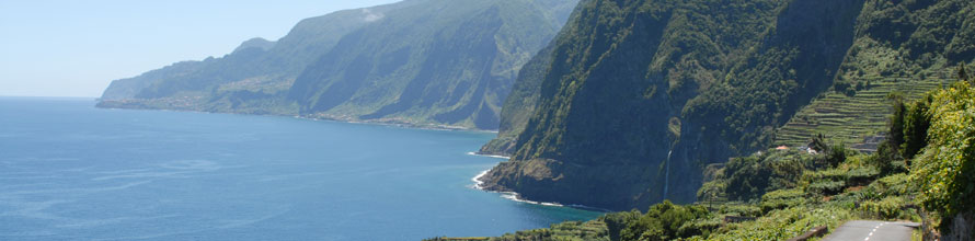 4 Things Must to Do in Madeira | Travel eGuide