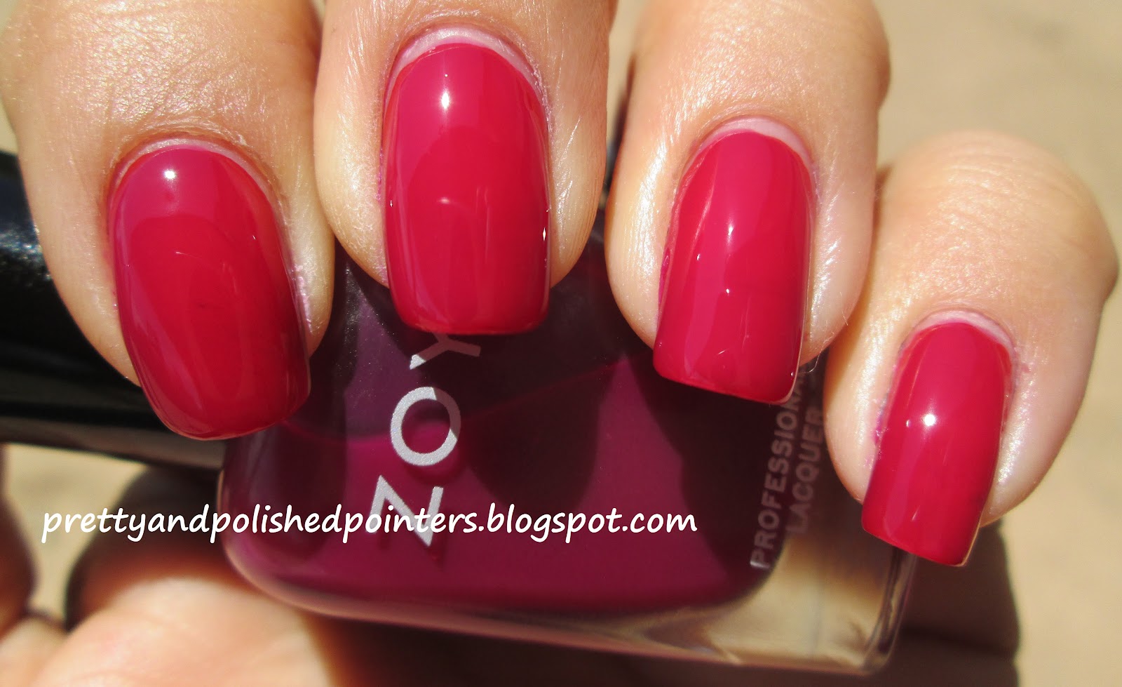 Pretty Polished Pointers: Zoya Nail Polish and Treatment Fall 2012 ...